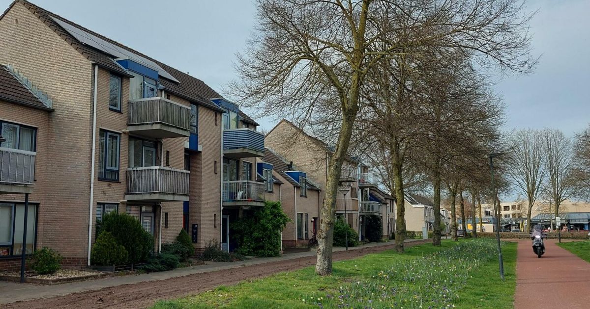 Lingestraat, de Middenloop › Woonpartners